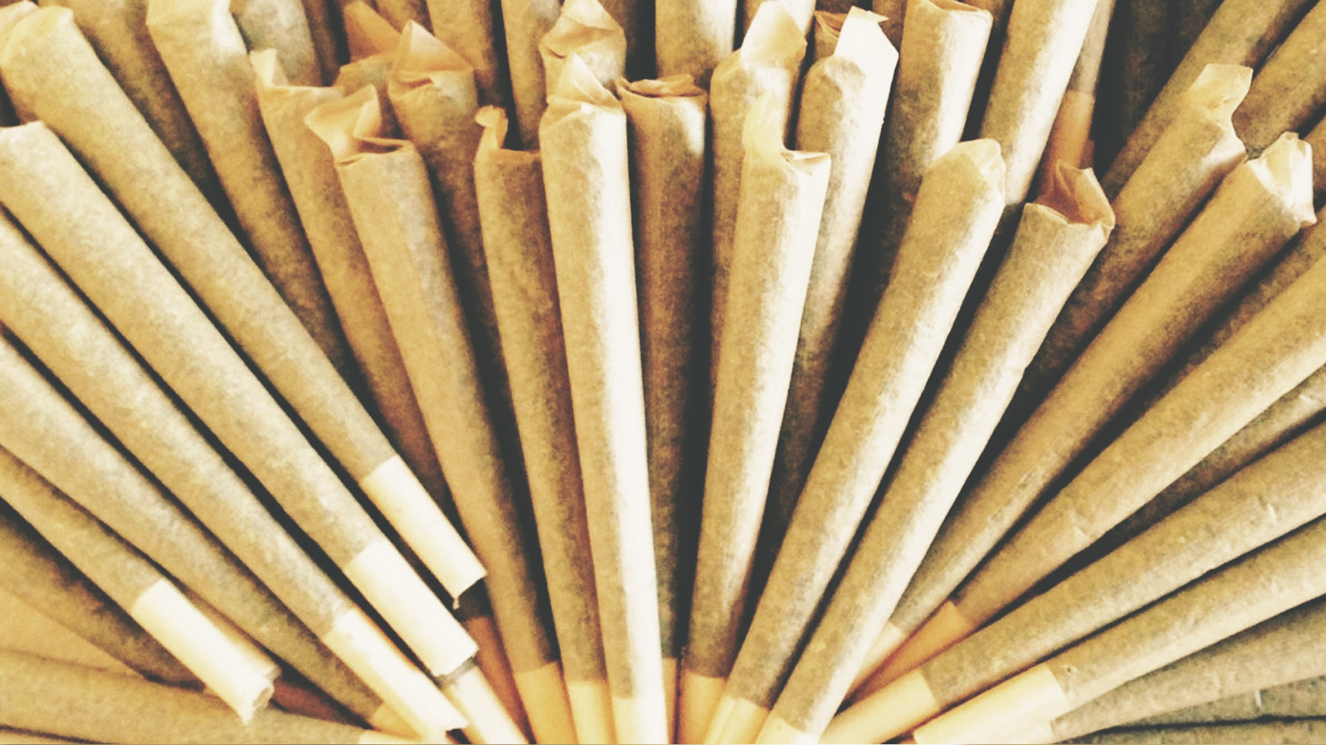 BUBBLE HASH PRE-ROLLS - SOULSHINE CANNABIS