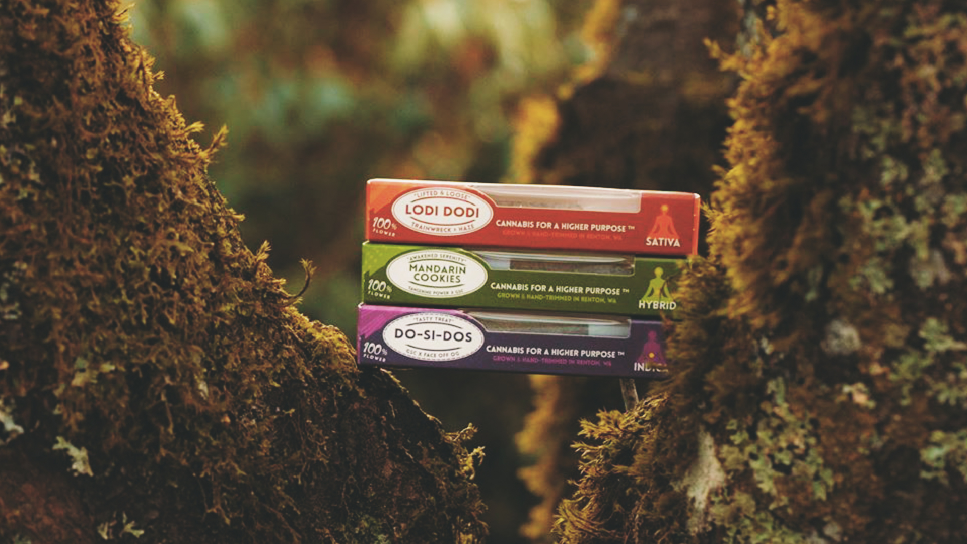 FULL FLOWER PRE-ROLLS - SOULSHINE CANNABIS